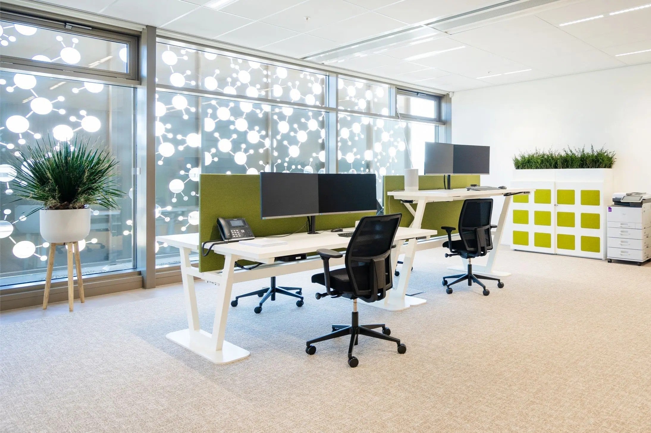 Cheap Ergonomic Office Chairs: Top Options for 2024