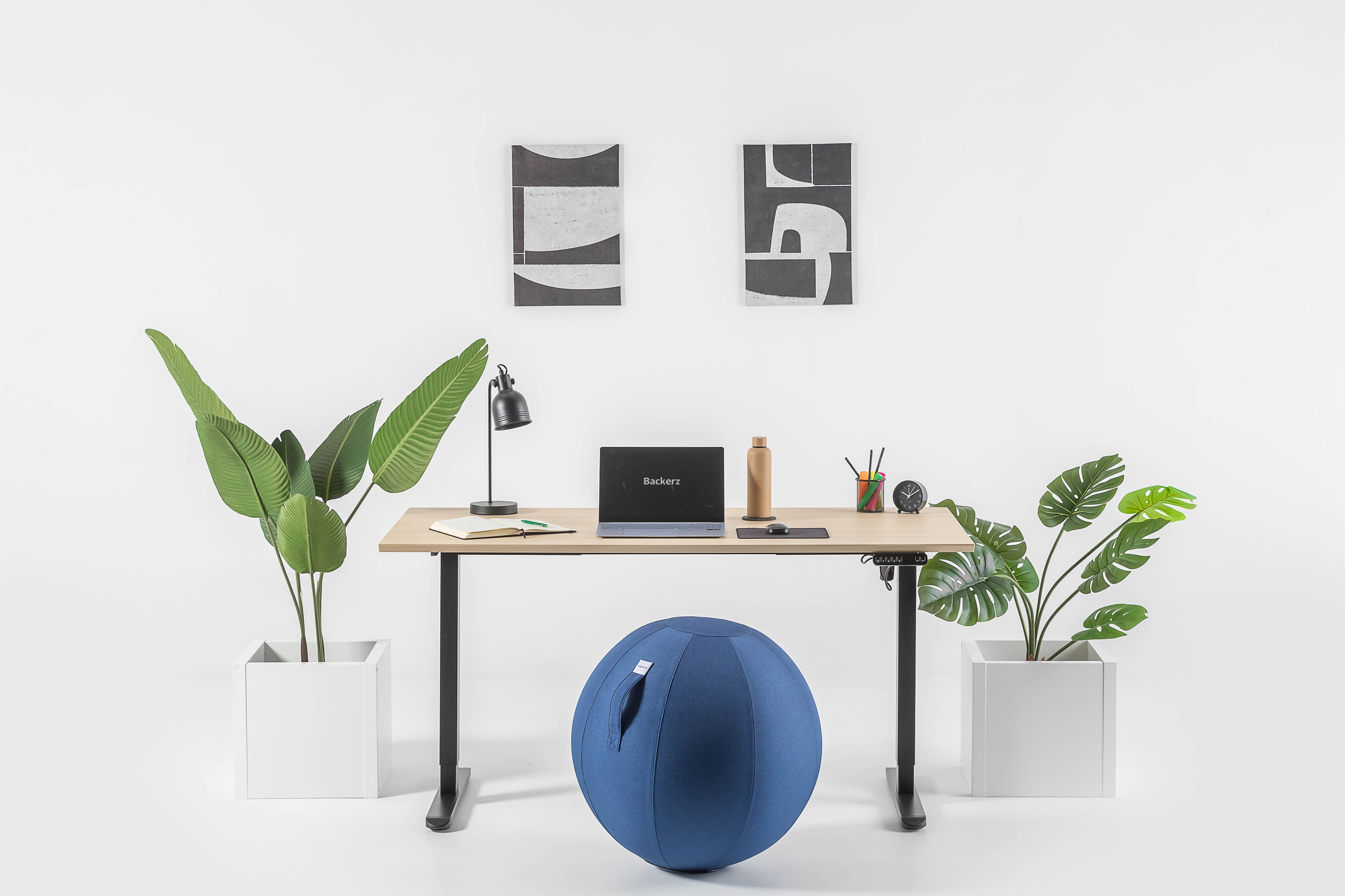 Exercise Ball at the Office: Trend or Ergonomic Success? - Backerz